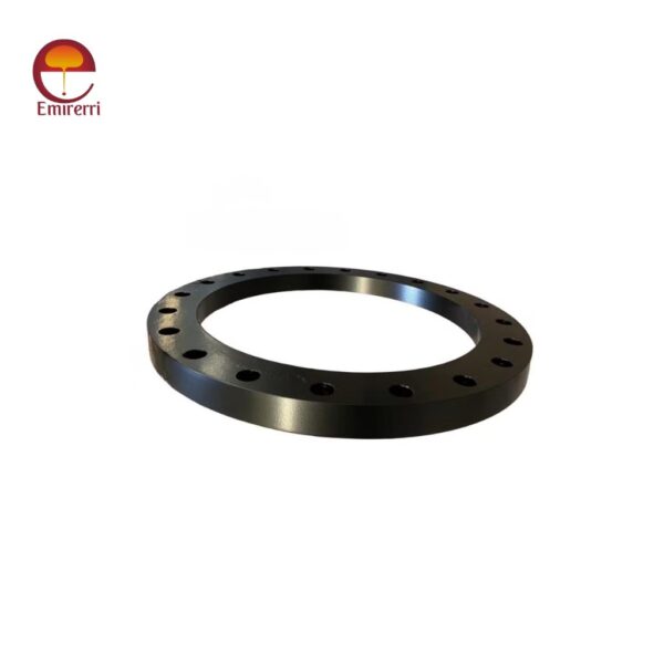 Stainless Steel Plate Flange - Emirerristeel