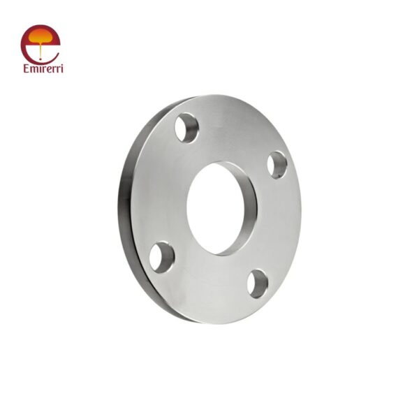 Stainless Steel Plate Flange - Emirerristeel